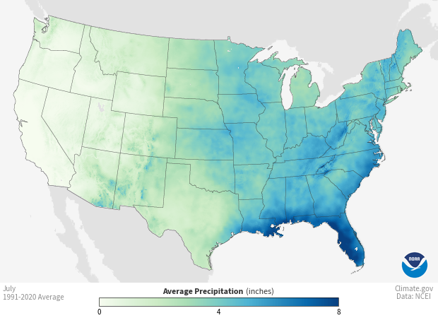 Precipitation - 1991-2020 Monthly Average | NOAA Climate.gov