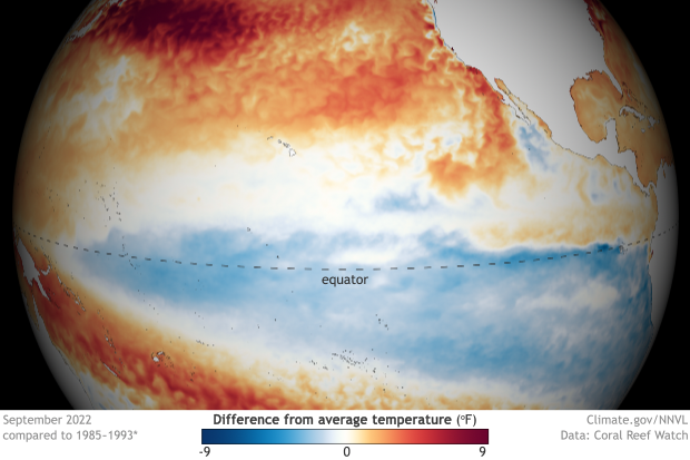 Images and Media: Ocean--Monthly--Difference-from-average-Sea-Surface ...