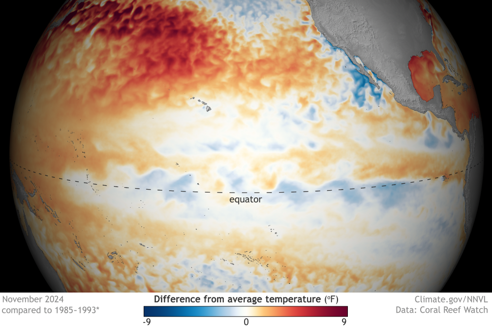 December 2024 ENSO update: party time, excellent | NOAA Climate.gov