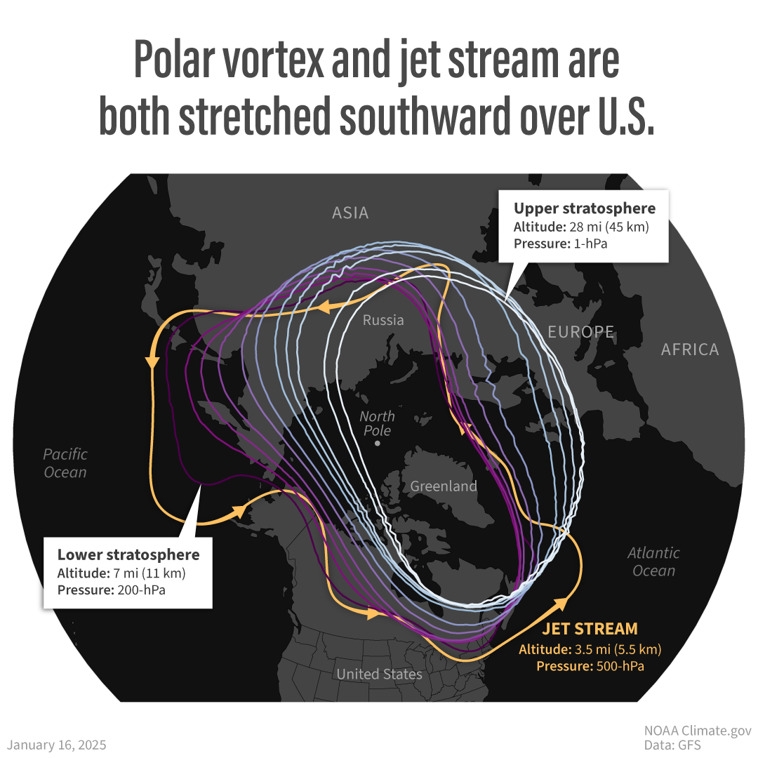 Another blast of Arctic air: this time, with a stretched but strong polar vortex | NOAA Climate.gov