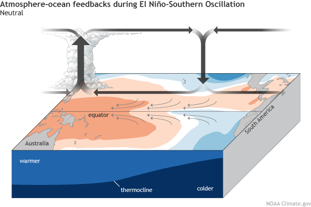 The Rise of El Niño and La Niña | NOAA Climate.gov