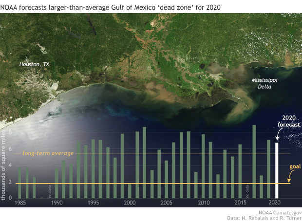 Larger-than-average dead zone forecast for Gulf of Mexico in summer ...