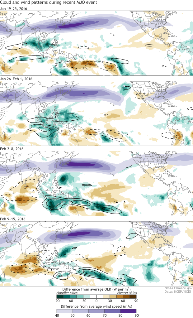 No butterflies, just tropical rainfall | NOAA Climate.gov