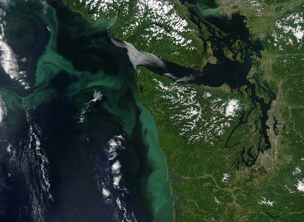Ocean - Oceanic Climate Variables | NOAA Climate.gov